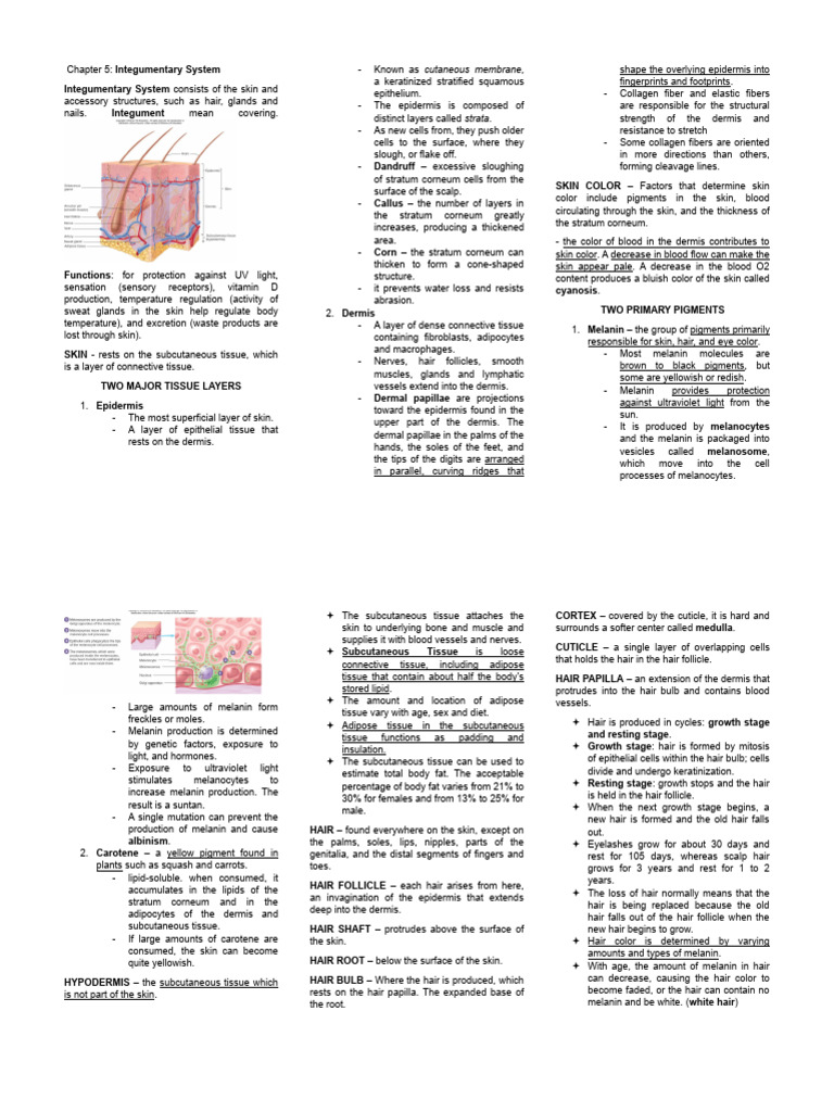 CHAPTER 5 REVIEWER | PDF