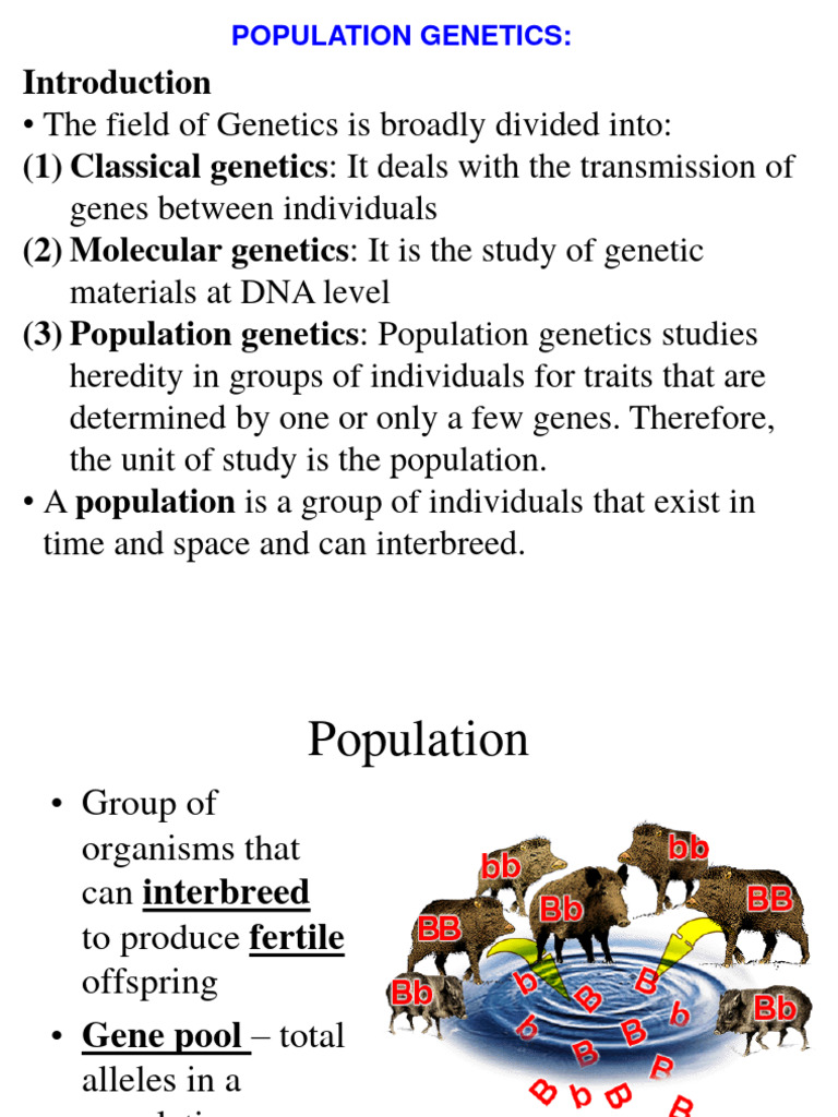 CSH 307 - Pop - Genetics - 2022 - 2023 | PDF | Dominance (Genetics ...