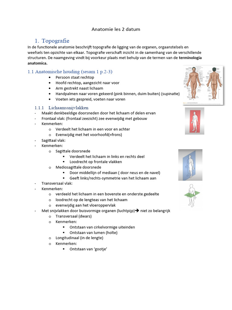 Anatomie Les 2 27 September | PDF