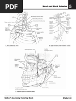 Netter's Human Anatomy Atlas Overview | PDF | Abdomen | Pelvis