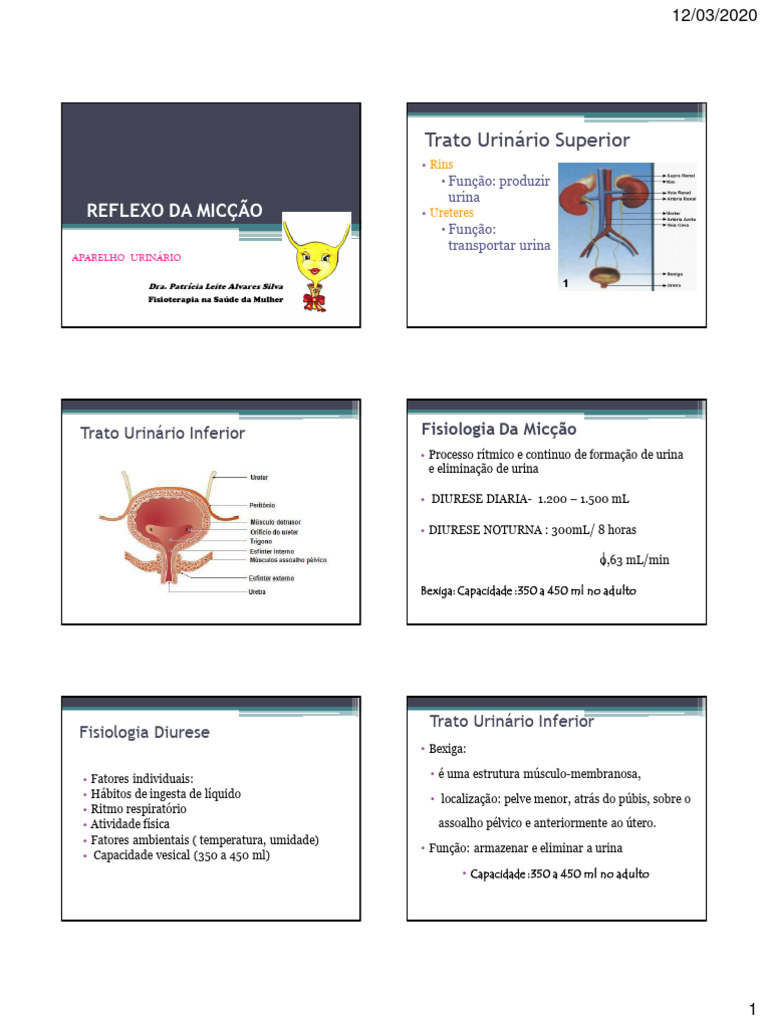 Aula 6 Reflexo Da Micção PDF | PDF