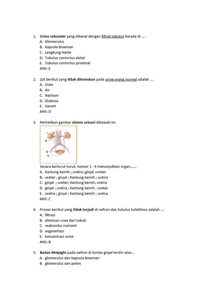 Latihan Soal Biologi KLS Xi Ipa 2024 | PDF