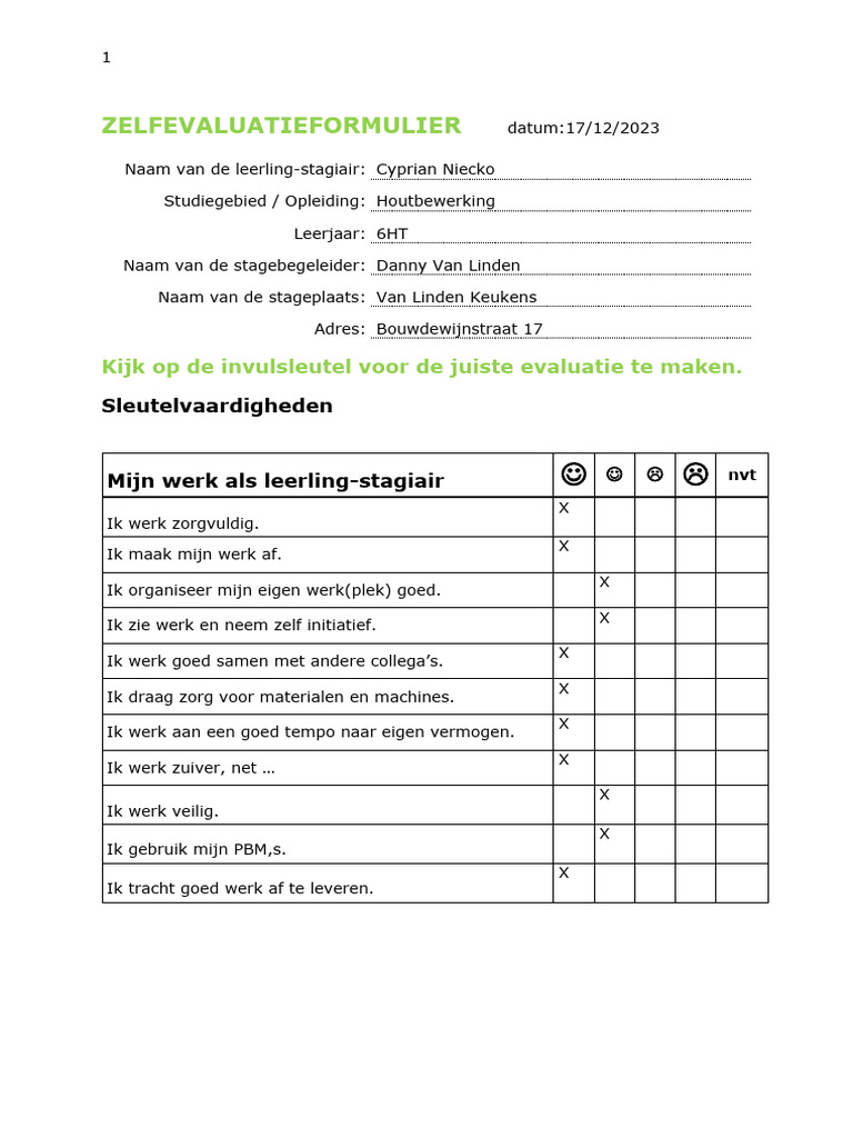 Zelfevaluatieformulier Stage | PDF