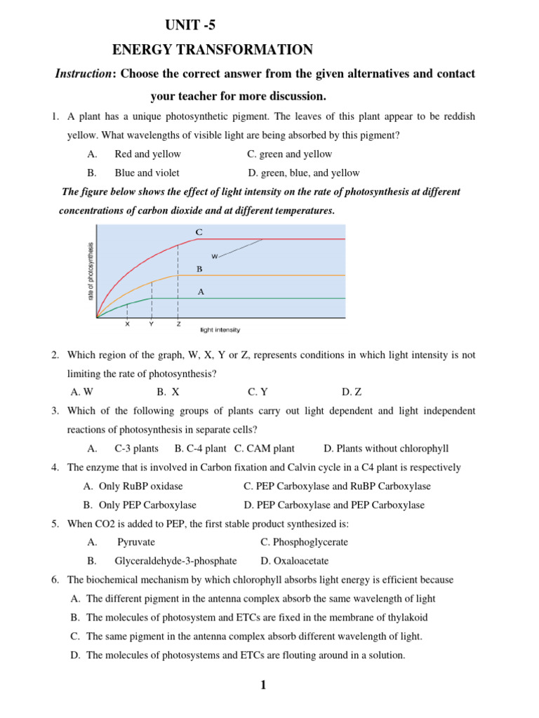 Biology Practice Photosynthesis | PDF | Photosynthesis | Adenosine ...