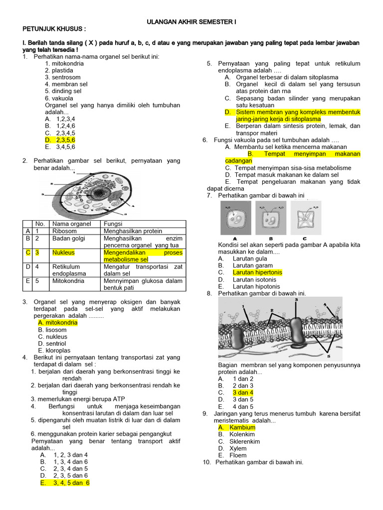 Latihan Soal Bio SMT 1 Xi | PDF