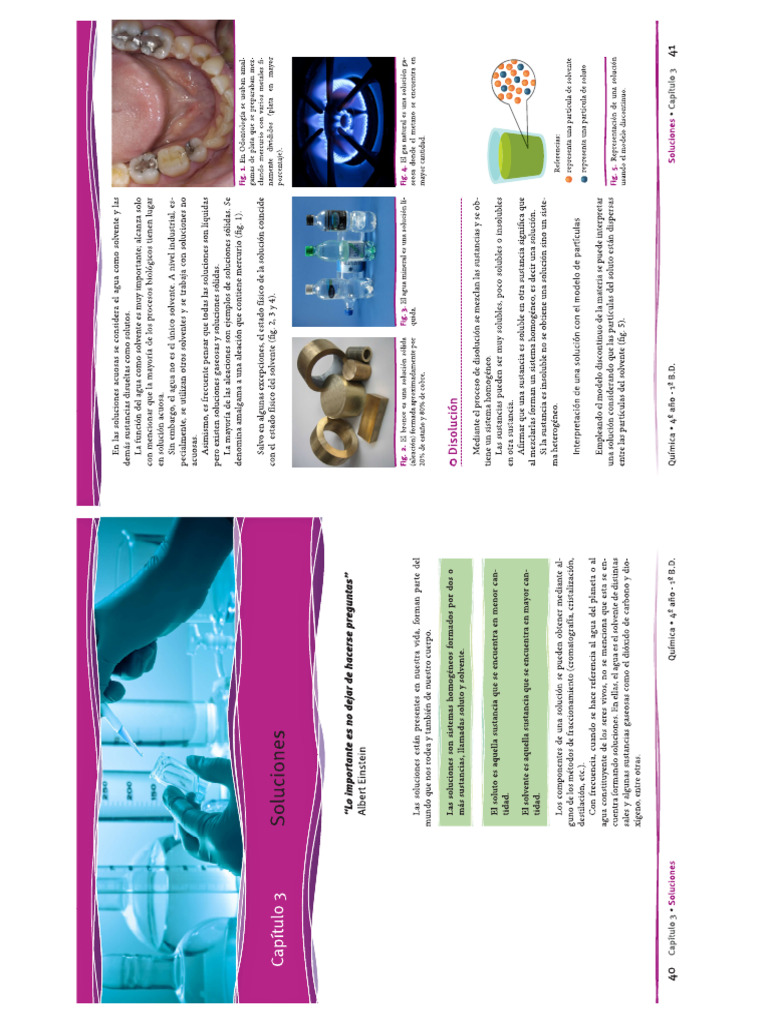 Soluciones - Libro Todo Se Transforma. | PDF