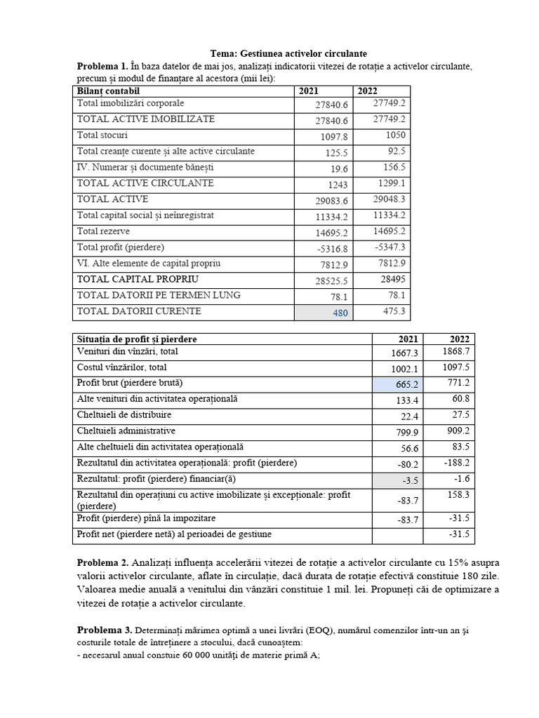 Probleme Active Circulante | PDF
