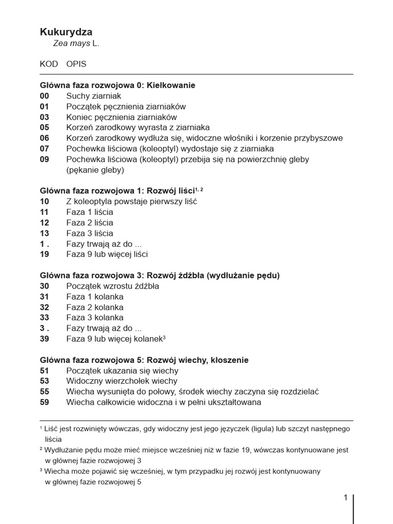 Skala BBCH - Kukurydza | PDF
