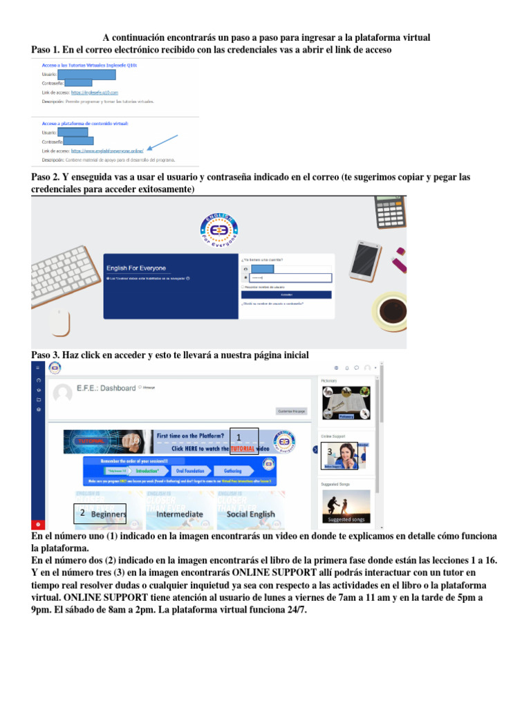 Guía de Acceso a la Plataforma Virtual | PDF
