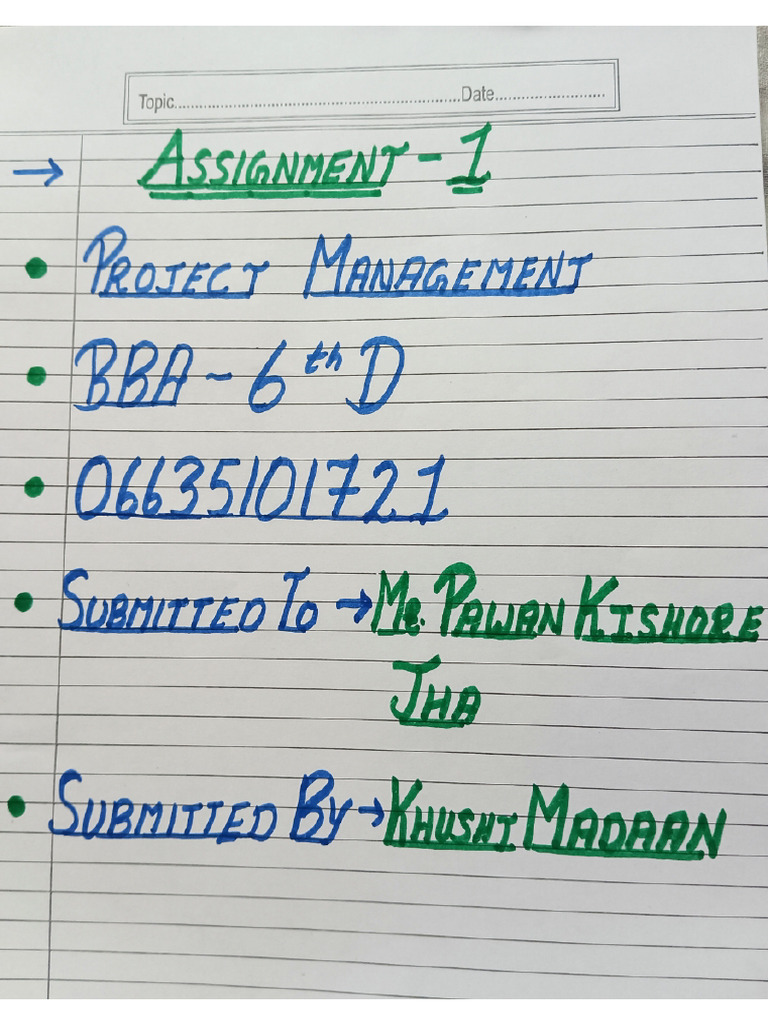 Khushi Assignment 1 | PDF