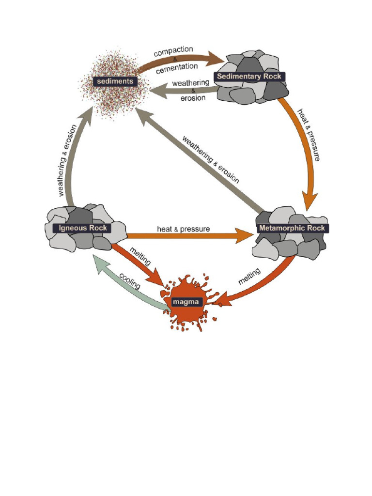 Earth and Life Science | PDF