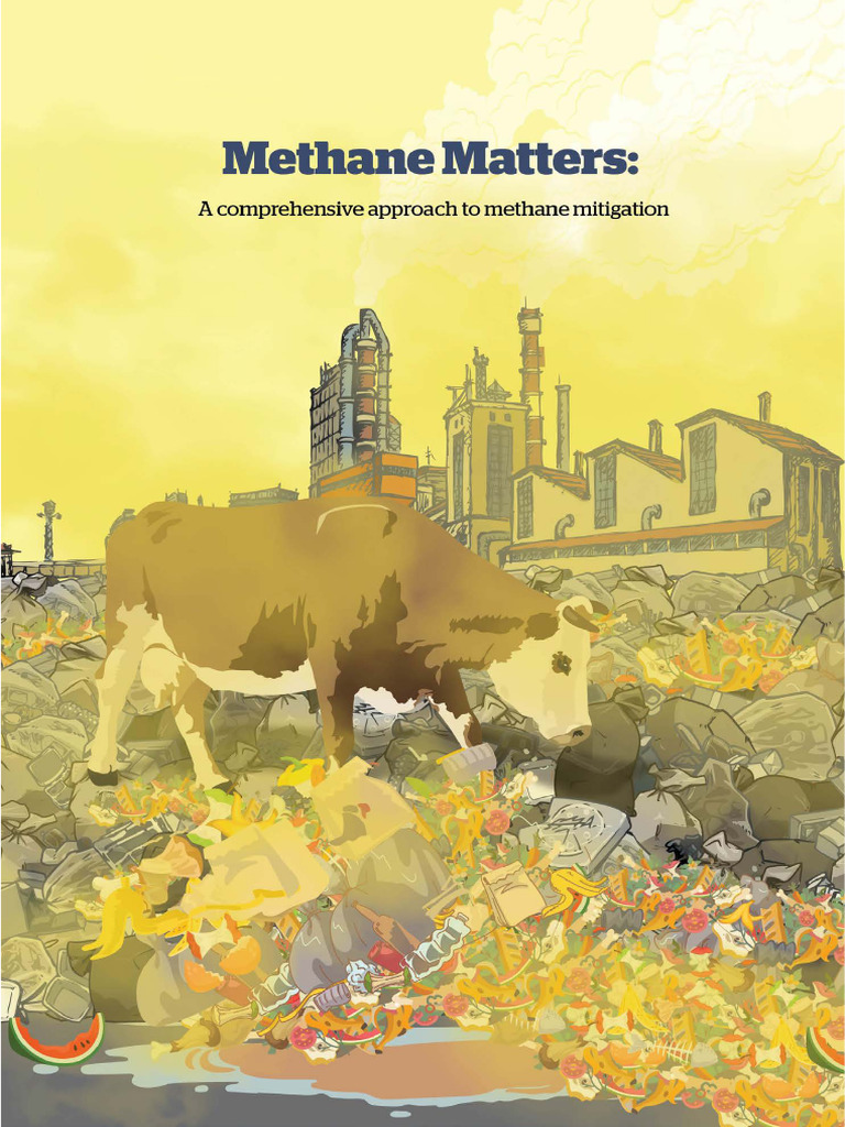 Comprehensive Methane Mitigation Strategies | PDF