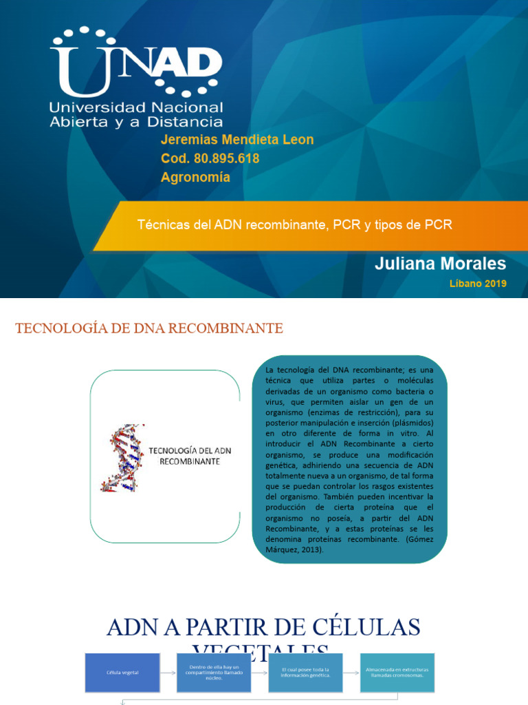 Técnicas Del ADN Recombinante, PCR y Tipos de P | PDF | Adn | Plásmido