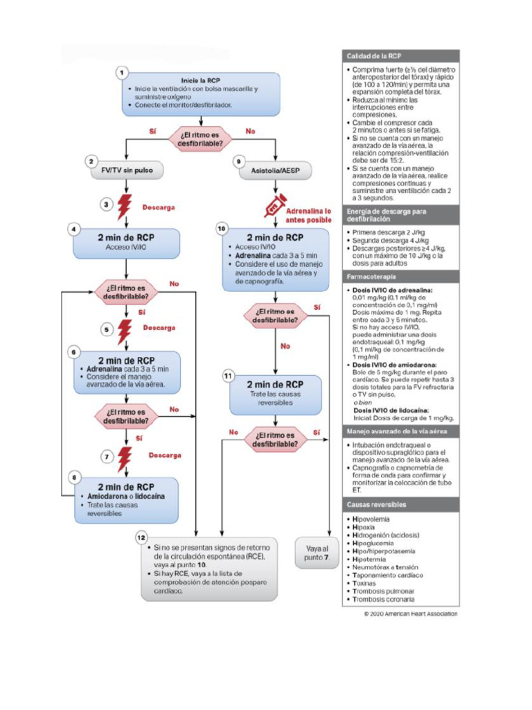 Algoritmos PALS 2020 | PDF