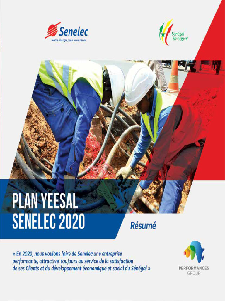 Plan D'action SENELEC | PDF