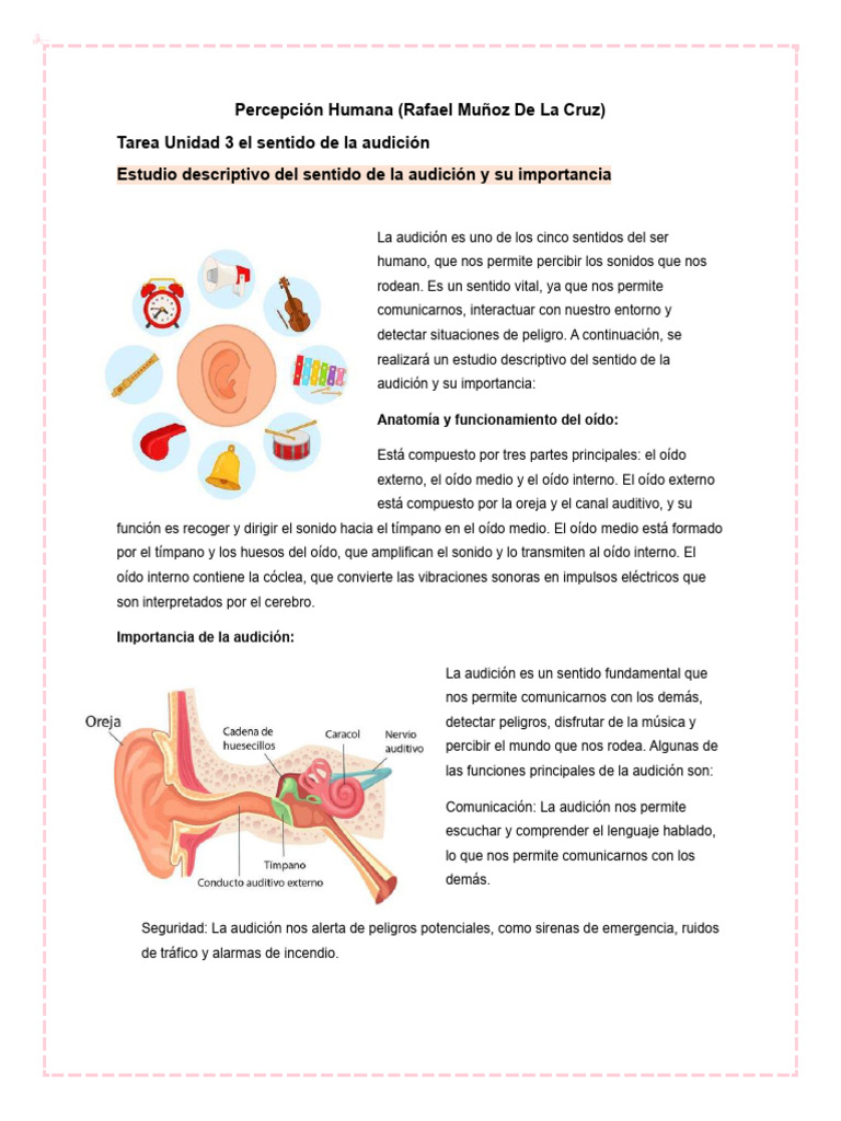 Tarea Unidad 3 el sentido de la audición | PDF | Escuchando | Oído