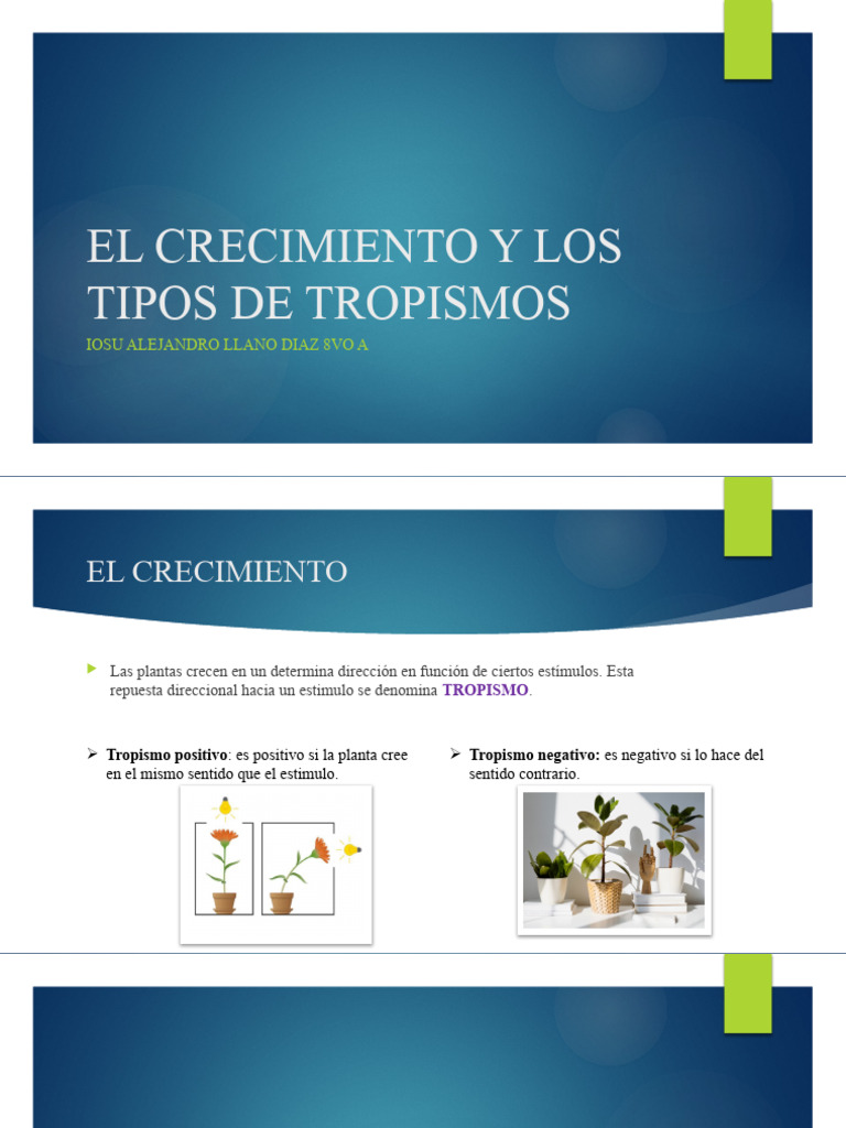 Tipos de Tropismos en Plantas | PDF
