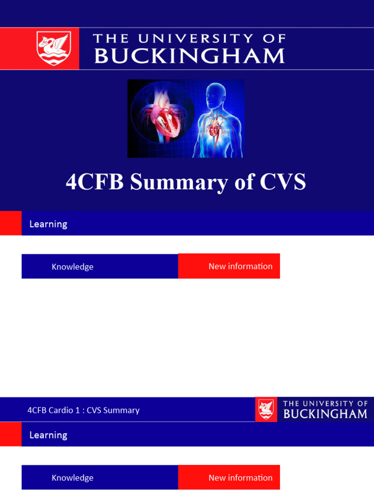 4CFB Cardiology 1 CVS Summary | PDF | Heart Valve | Artery