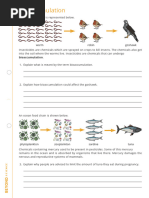 Dichotomous Key Practice Worksheets | PDF | Foreign Language Studies