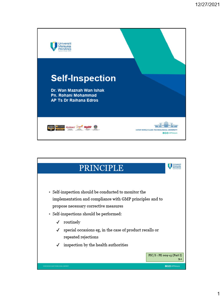 Chapter 10 Self-Inspection | PDF