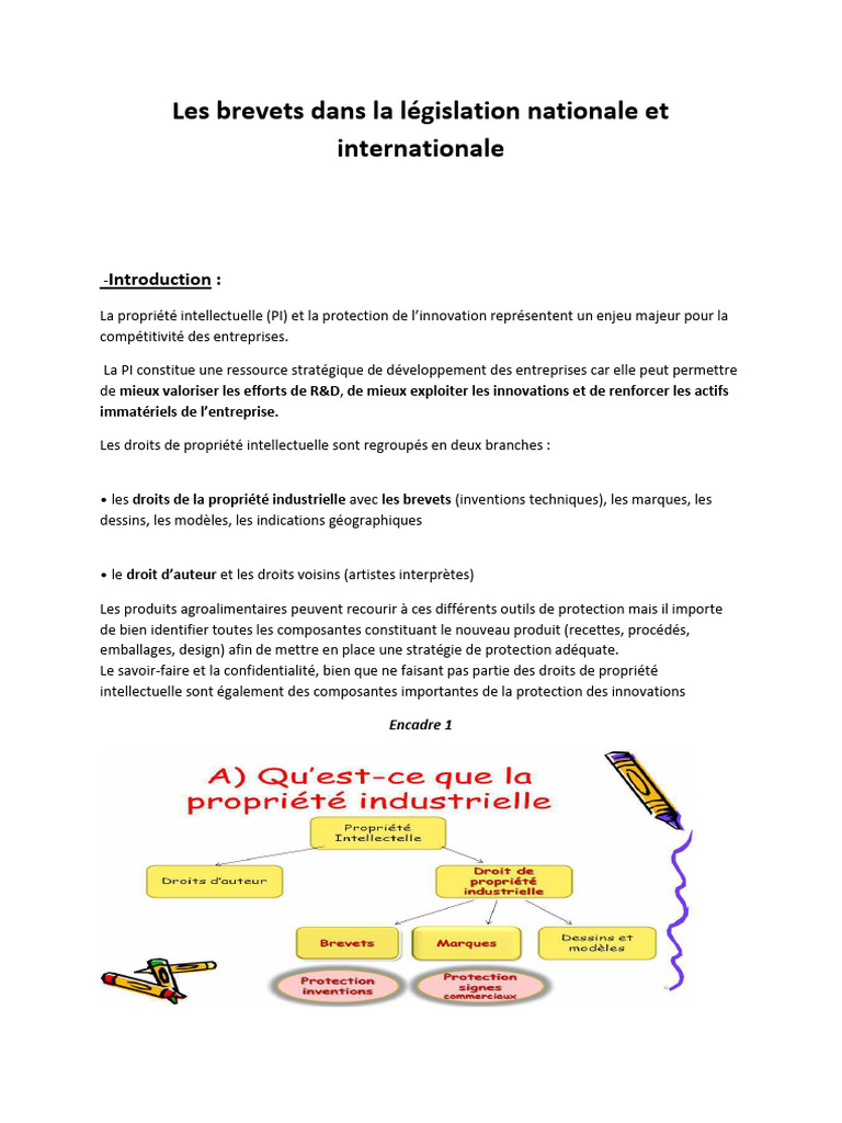 Brevets : Protection et Réglementation Globale | PDF | Brevet ...