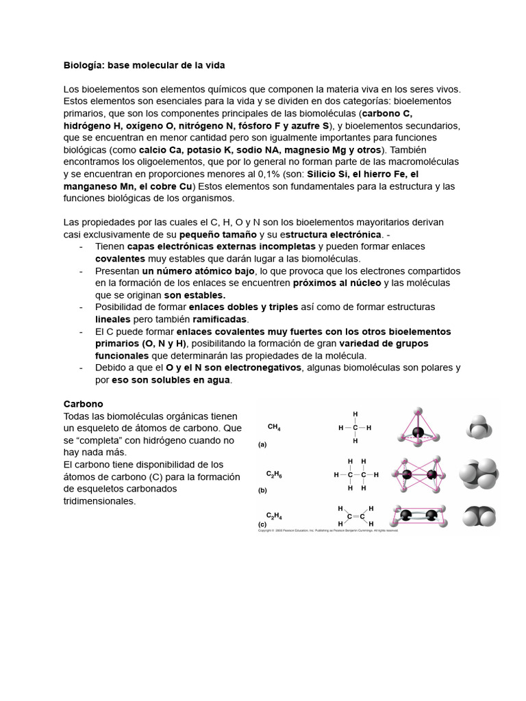 2 Biología - Base Molecular de La Vida | PDF | Moléculas | Isómero