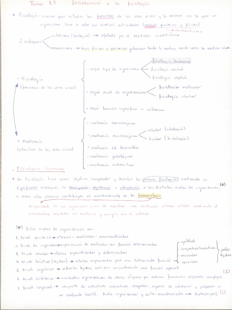Esquema 1 - Introducción a La Fisiología | PDF