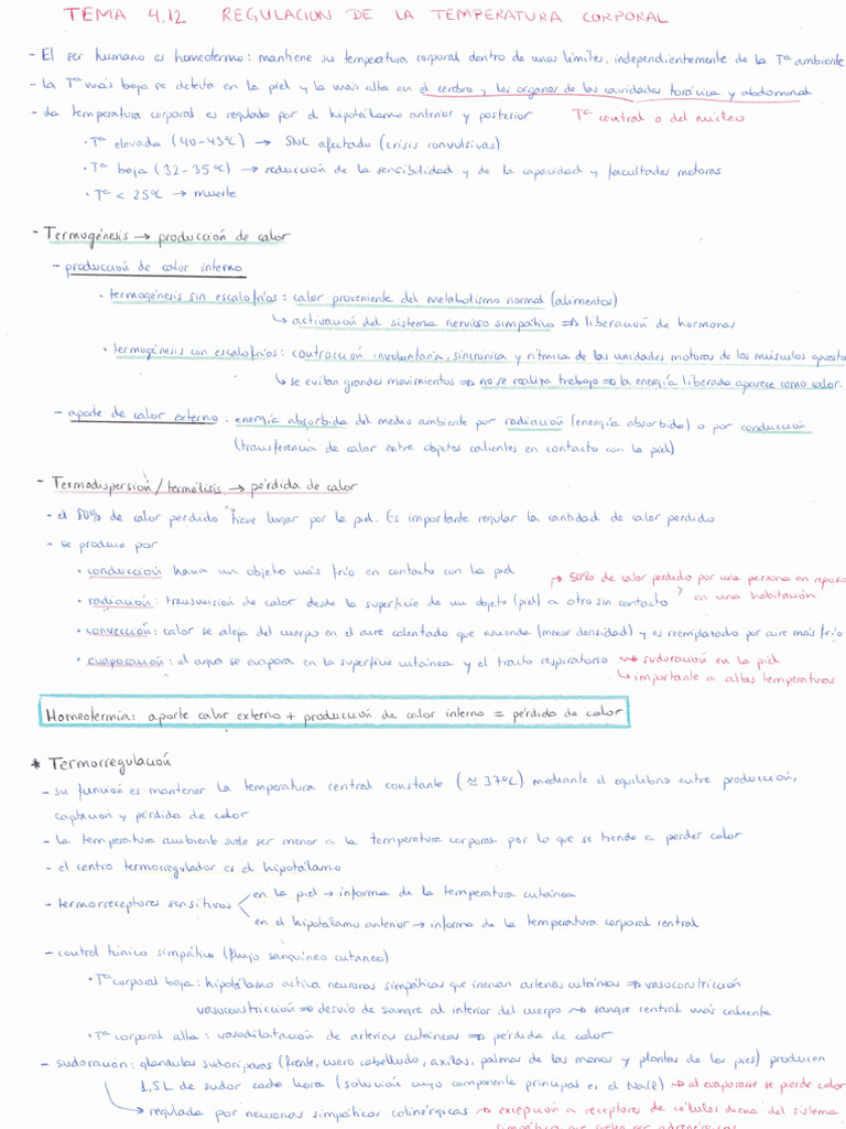 Esquema 16 - Regulación de La Temperatura Corporal | PDF