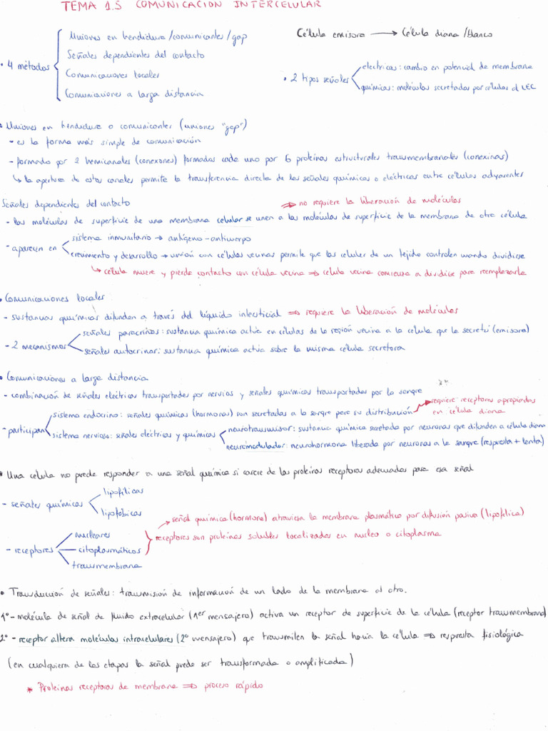 Esquema 5 - Comunicación Intercelular | PDF