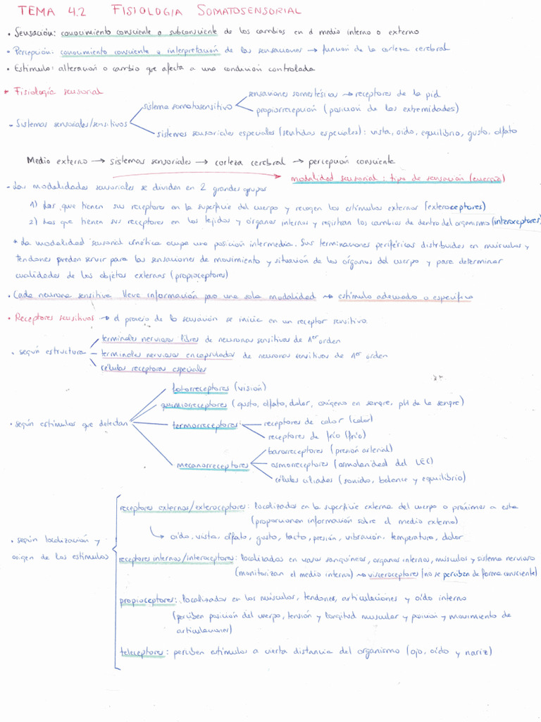 Esquema 9 - Fisiología Somatosensorial | PDF