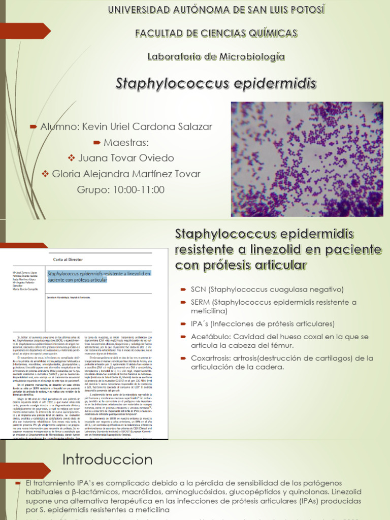 Staphylococcus Epidermidis | PDF | Especialidades Medicas | Microbiología