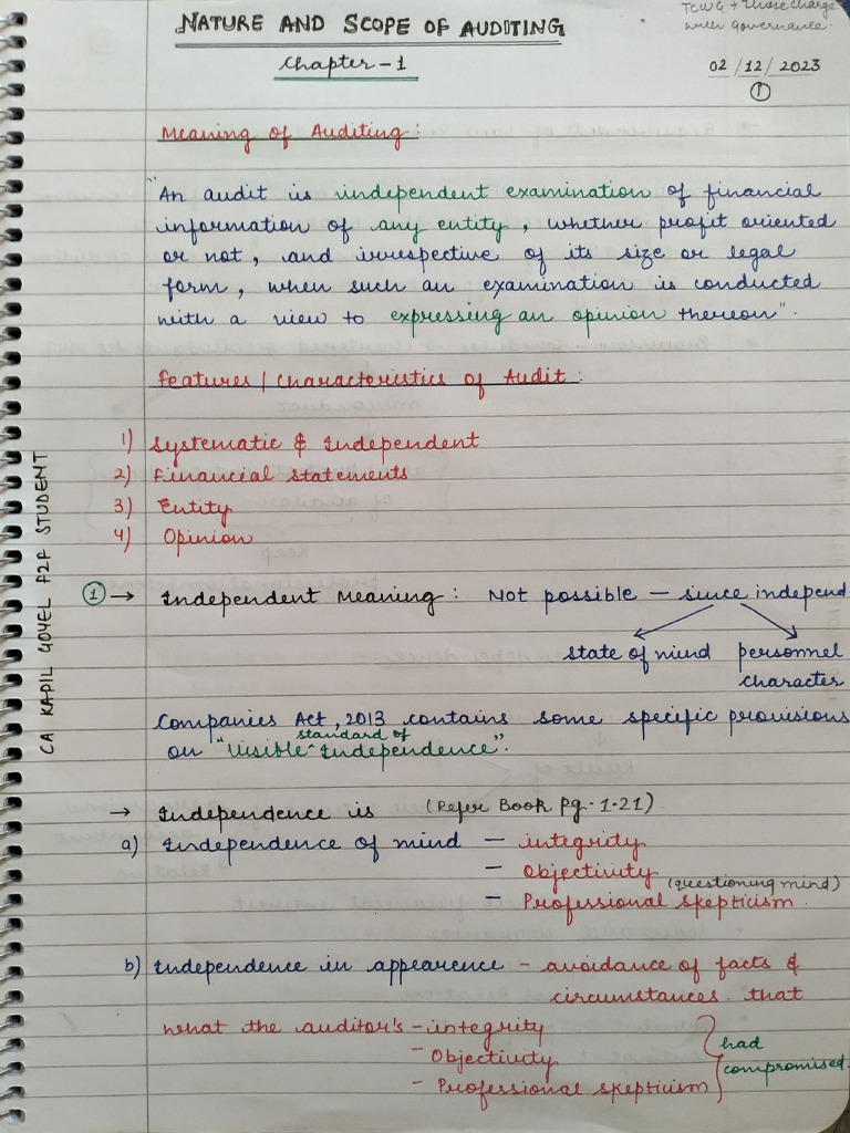 Chapt 1 Audit Notes | PDF