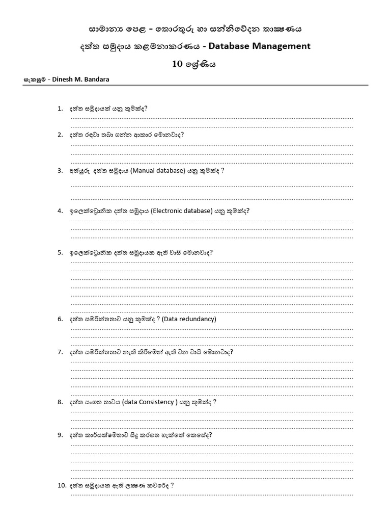 Database Essay | PDF