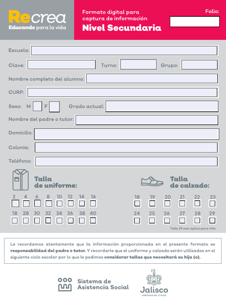 Formato Digital Recrea Captura-Secundaria | PDF