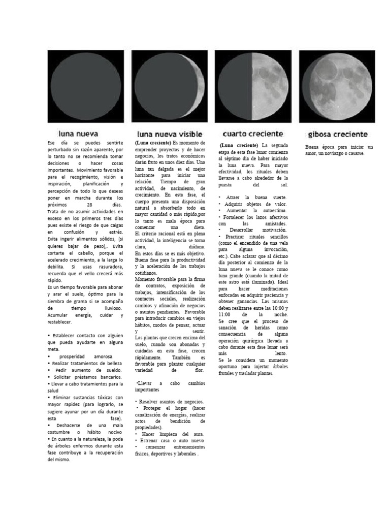 La Luna y Sus Fases | PDF | Luna
