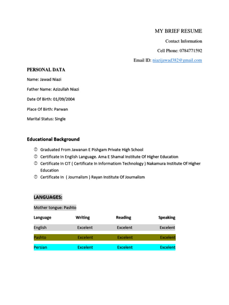 Jawad CV 2 PDF | PDF