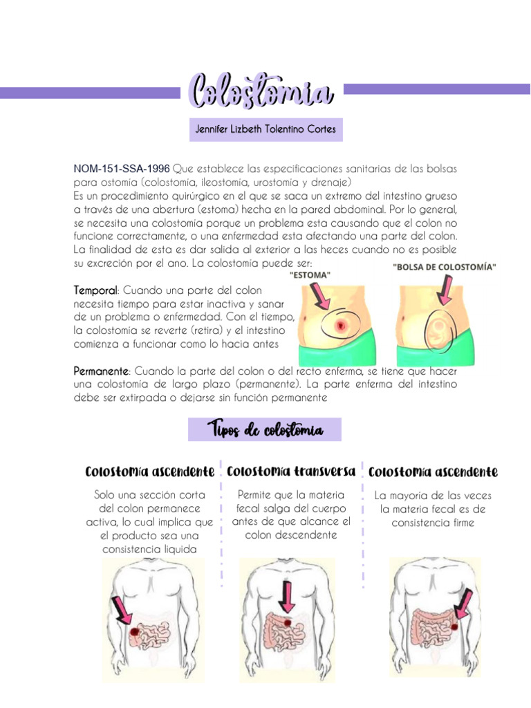Guía Completa sobre Colostomía y Cuidados | PDF | Intestino grueso | Heces