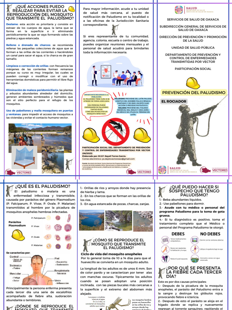 Tríptico Paludismo 2024 | PDF | Malaria | Mosquito