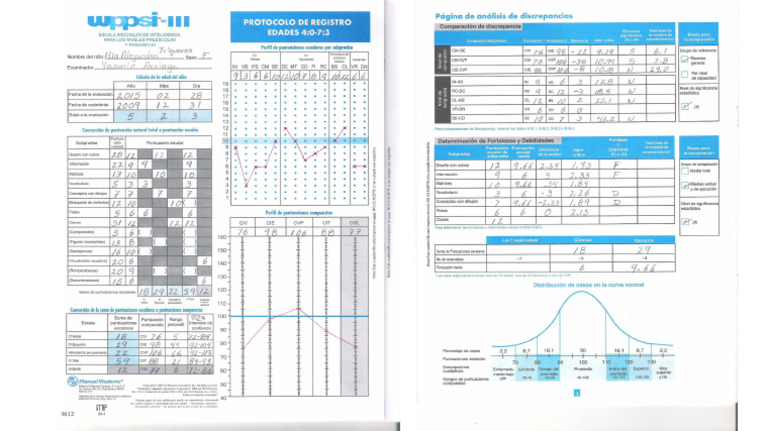 Protocolo de Resultados Wppsi III | PDF