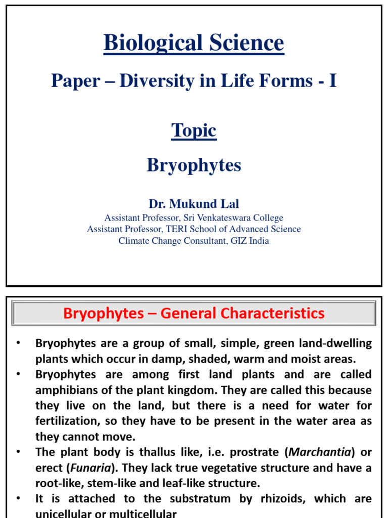Bryophytes | PDF Bryophytes | PDF