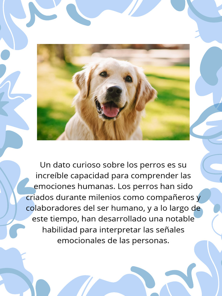 Perros: Expertos en Emociones Humanas | PDF | Ficción general