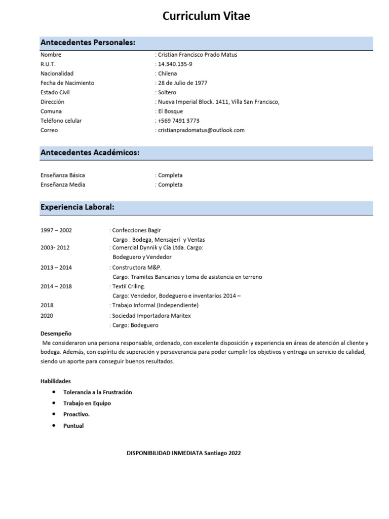 Curriculum Vitae Cristian | PDF