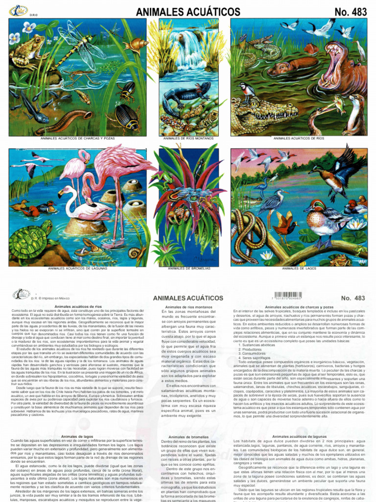 Animales Acuaticos | PDF