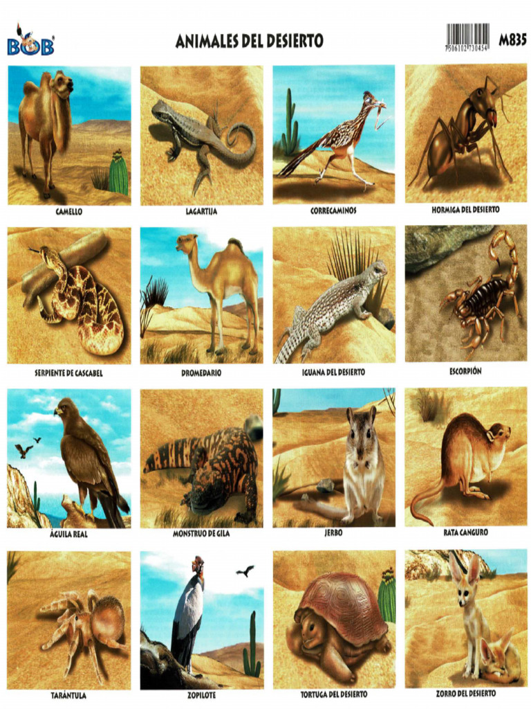 Animales Del Desierto Ediciones Bob Pdf