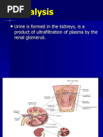 Urinalysis OSCE Guide | PDF | Urine | Urology