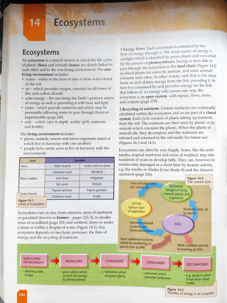 NWW Ecosystems | PDF