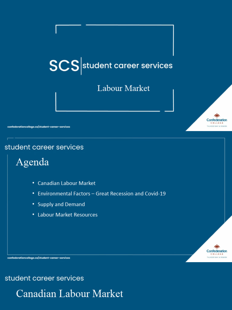 Labour Market Pdf