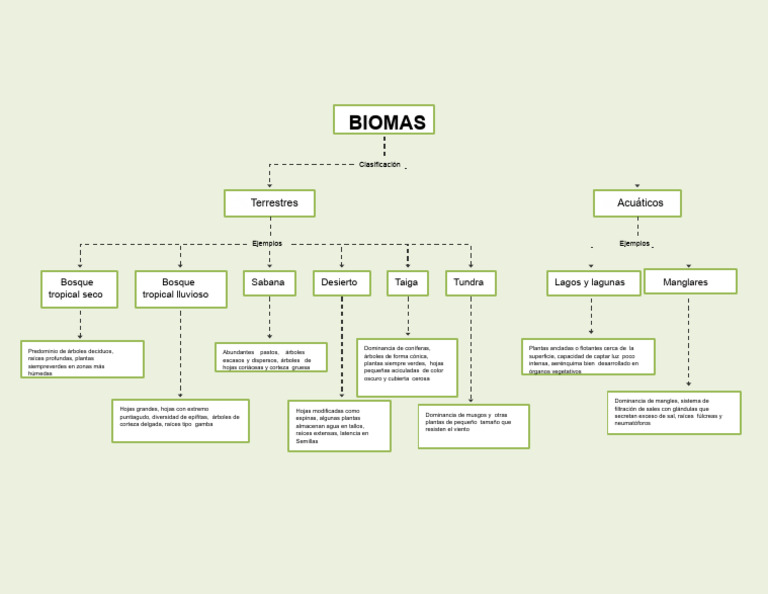 Mapa Conceptual de Los Biomas 2 | PDF | Arboles | Hoja