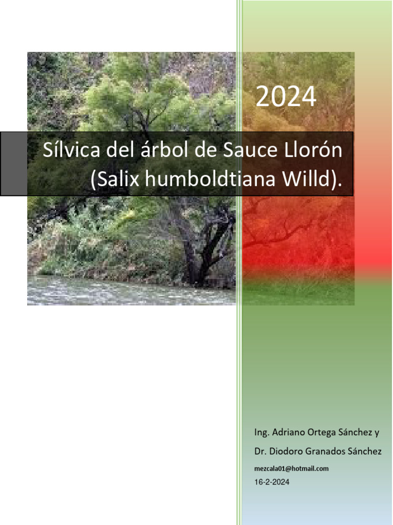 Silvica del Sauce Llorón en México | PDF | Sauce | México