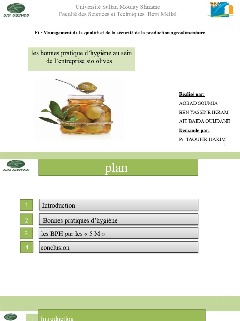 Bph Olives 2024 | PDF | Hygiène | Nourritures